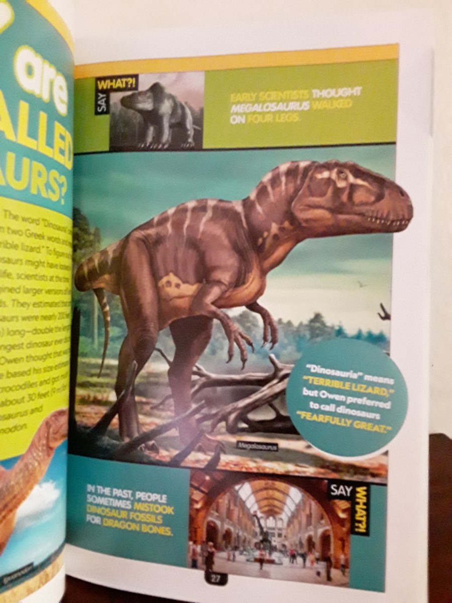 Storms, Dinosaurs, and Kids' Almanac 2026 in Collection of Books from ...