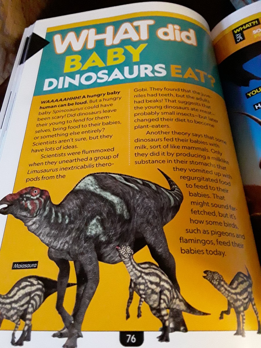 Storms, Dinosaurs, and Kids' Almanac 2026 in Collection of Books from ...