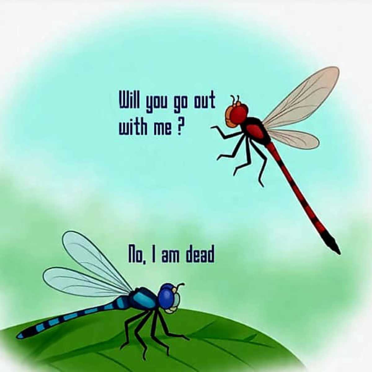 Why Mosquitoes Buzz Around Our Ears And Other Interesting Facts About ...