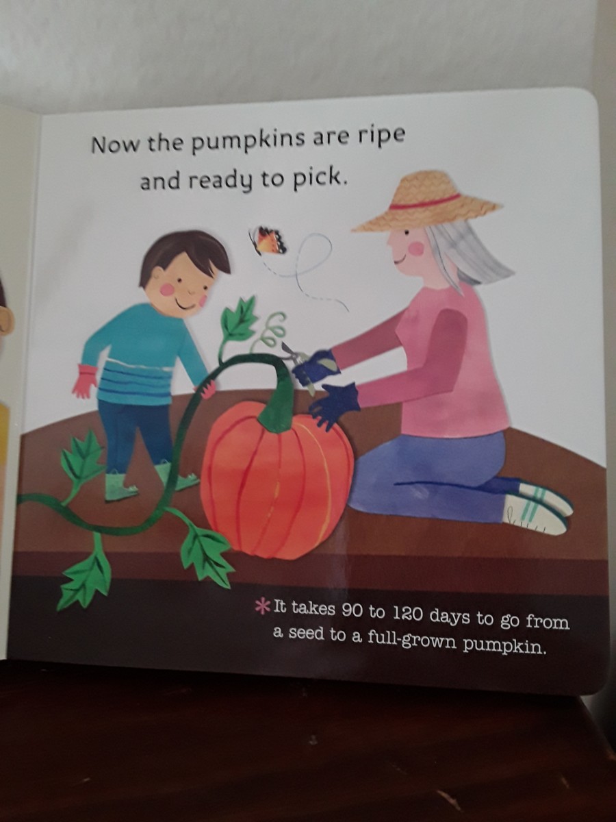 Pumpkins and the Magic of Fall in 2 Adorable Picture Books for Young ...