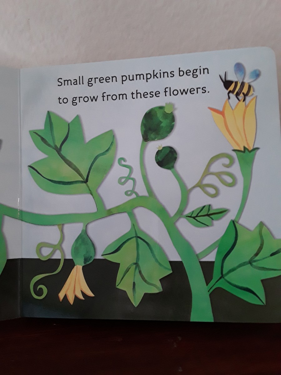 Pumpkins and the Magic of Fall in 2 Adorable Picture Books for Young ...