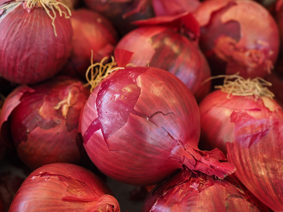 Learn vegetable names in Arabic With English Translation - HubPages