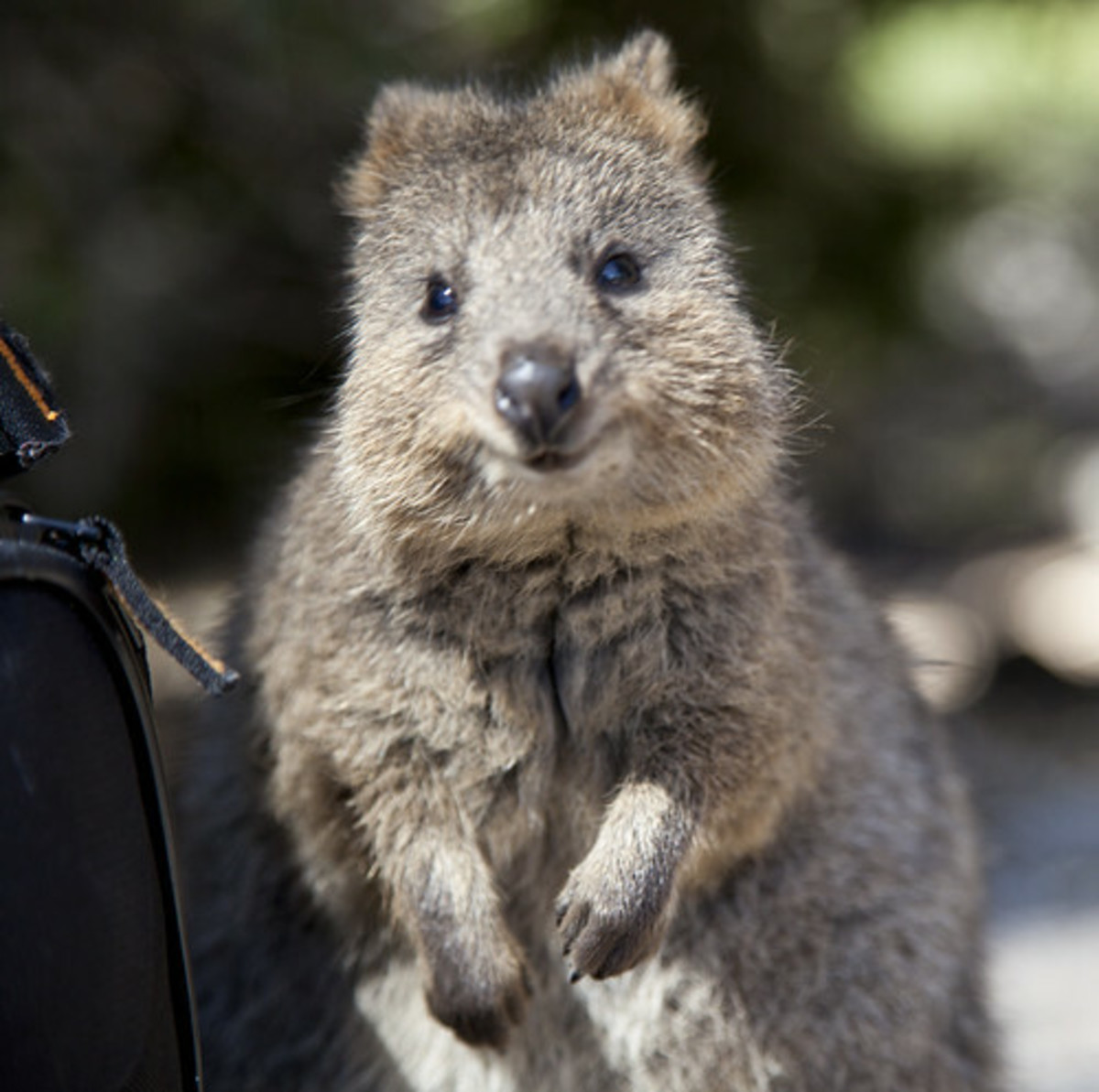 26 Words That Amaze and Amuse - HubPages