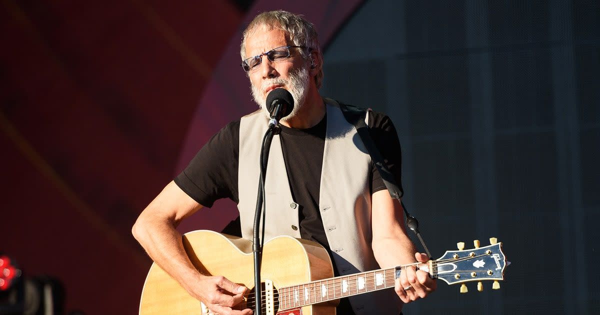 50 Best Animal Lover Songs for IG Reels & Stories - HubPages