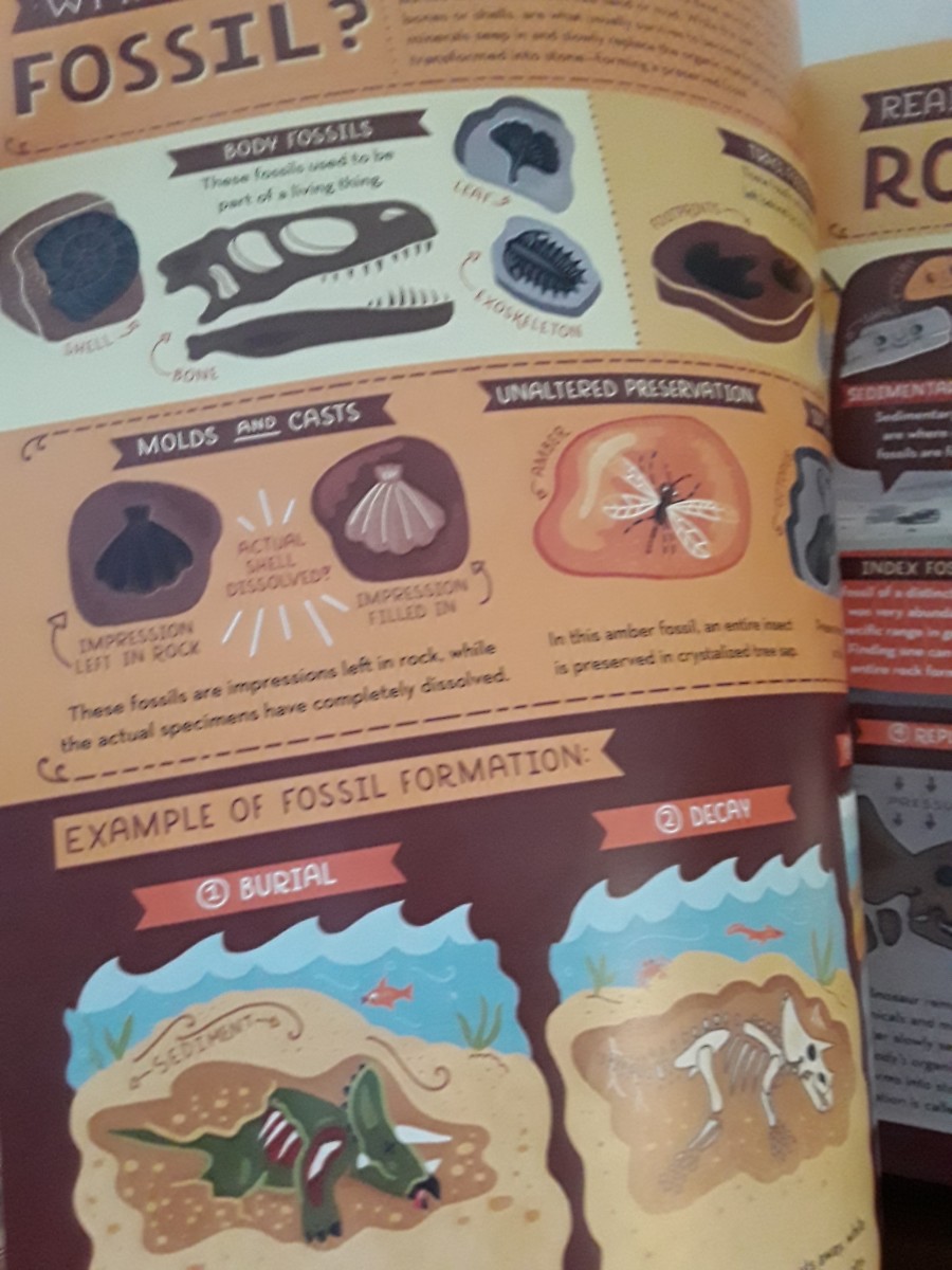 Dinosaurs with Life Lessons in 2 Fun Picture Books and Exploring the ...