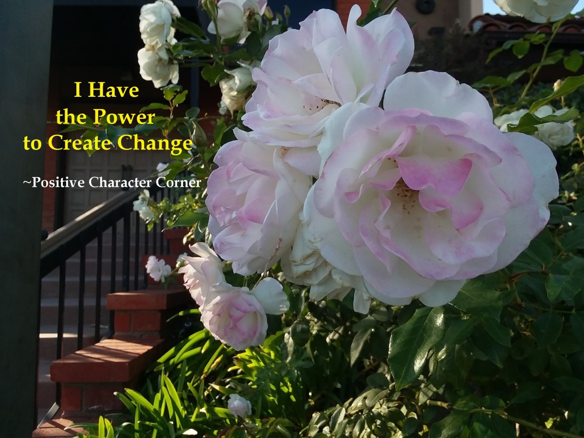 Taking a Good Look at Our Values - HubPages