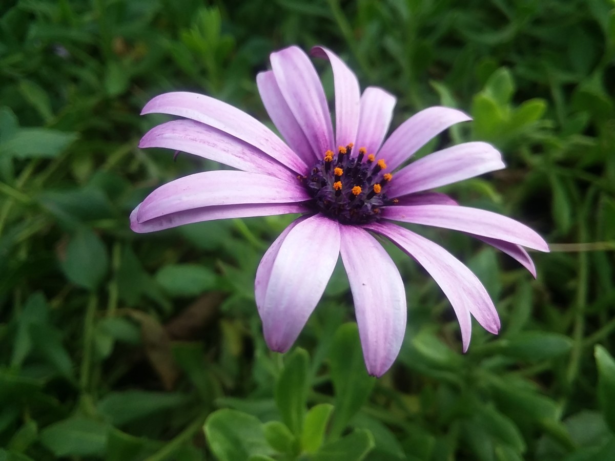 Taking a Good Look at Our Values - HubPages