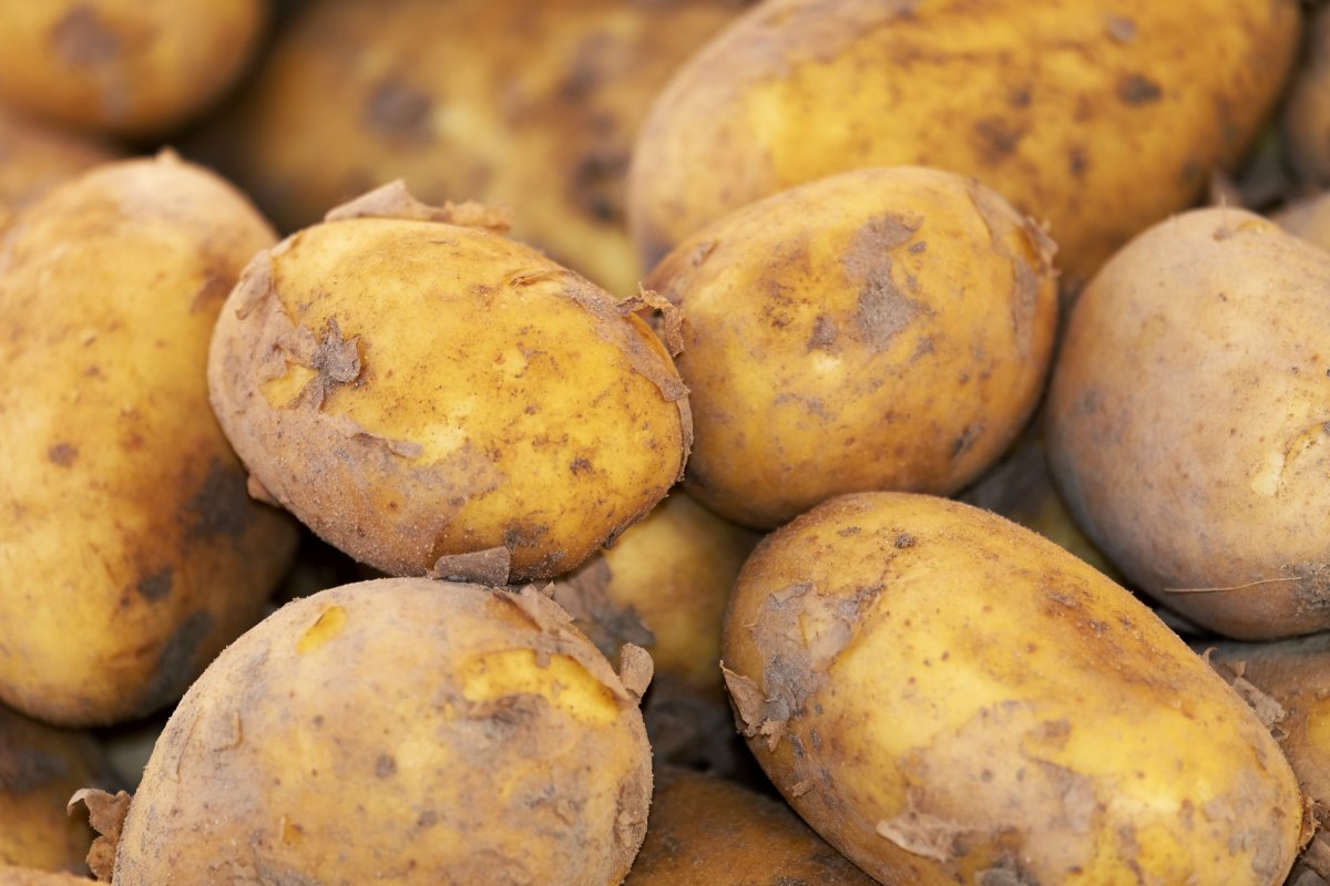 Learn 20 vegetable names in spanish - HubPages