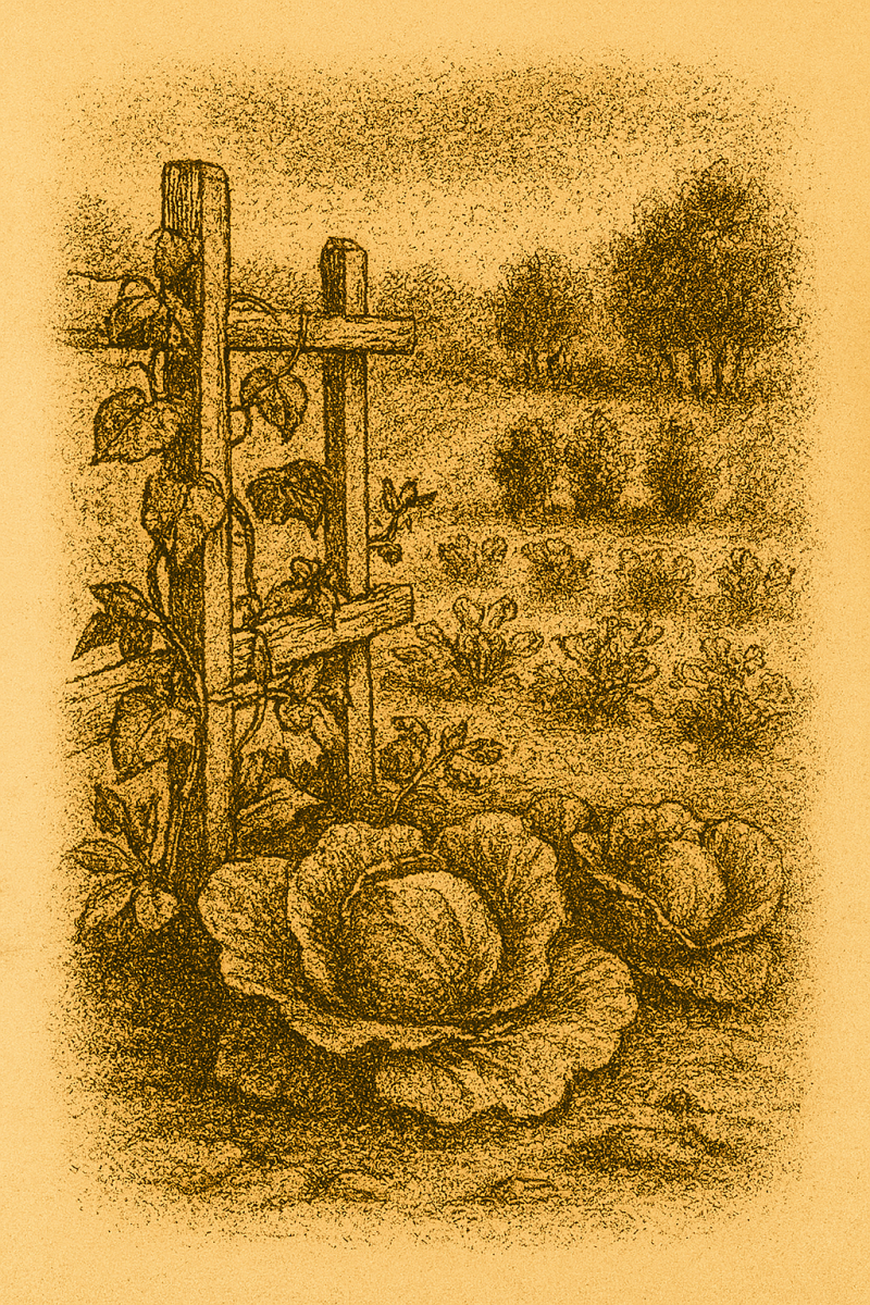 The Hearth as Altar: Kitchen Witch Spells for Home Protection, Health ...