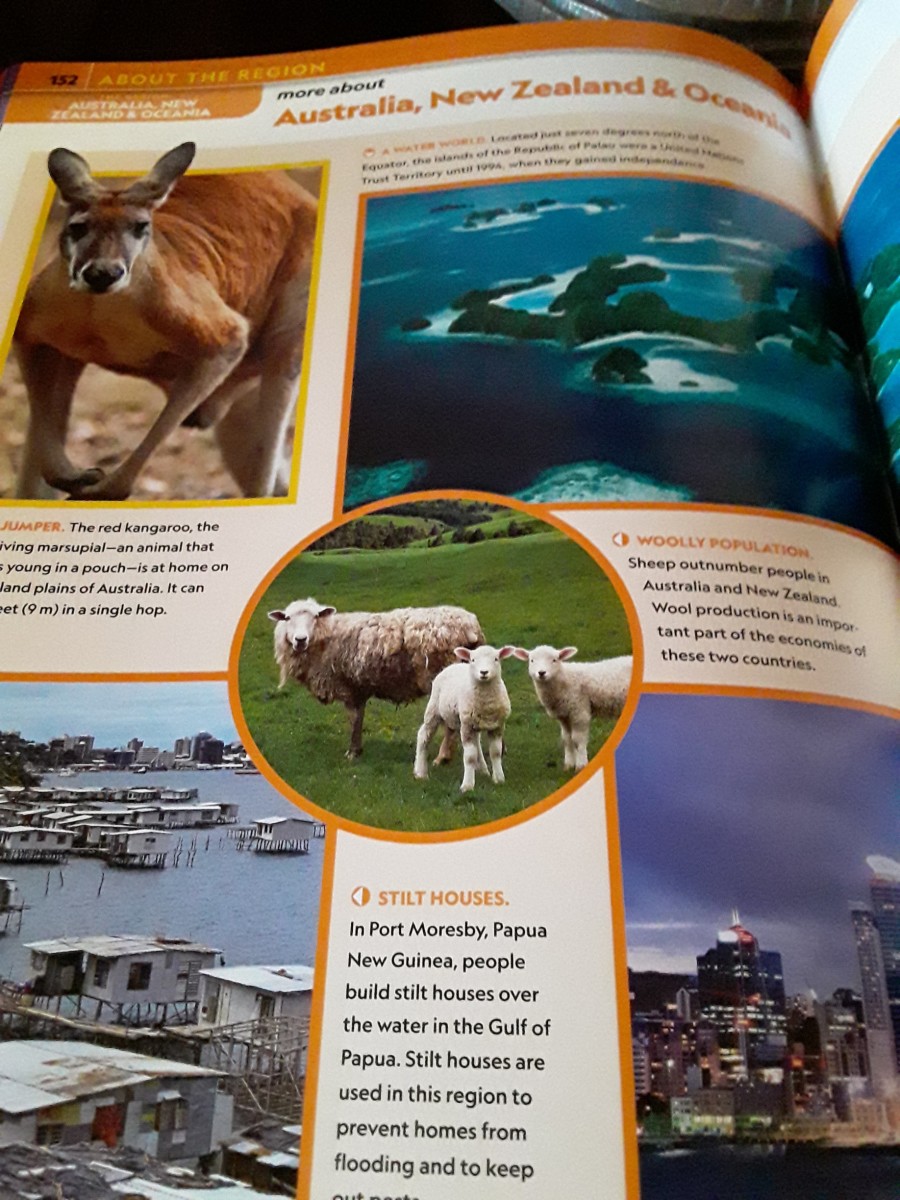 Storms, Dinosaurs, and Kids' Almanac 2026 in Collection of Books from ...