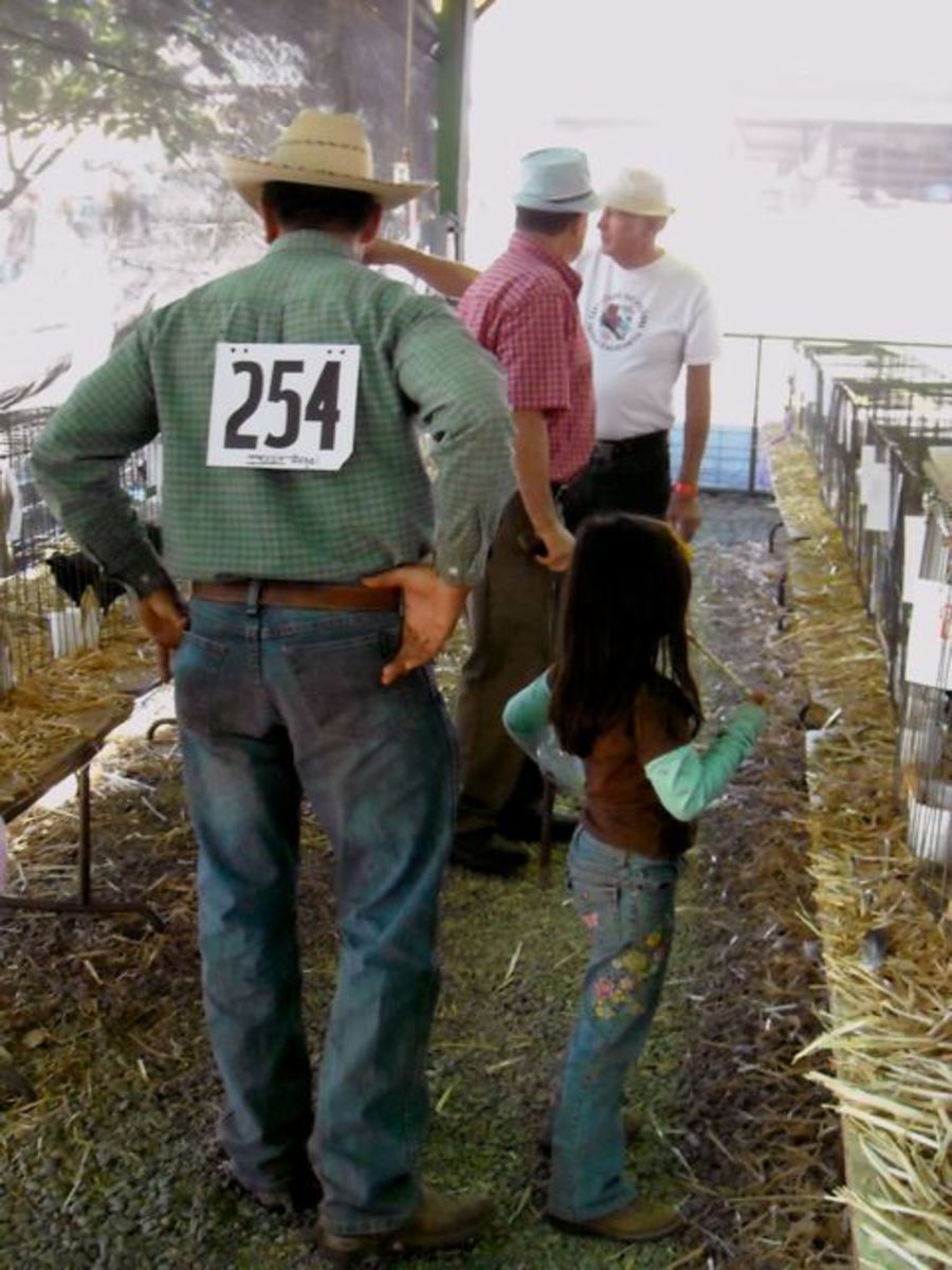 The American County Fair Tradition - HubPages