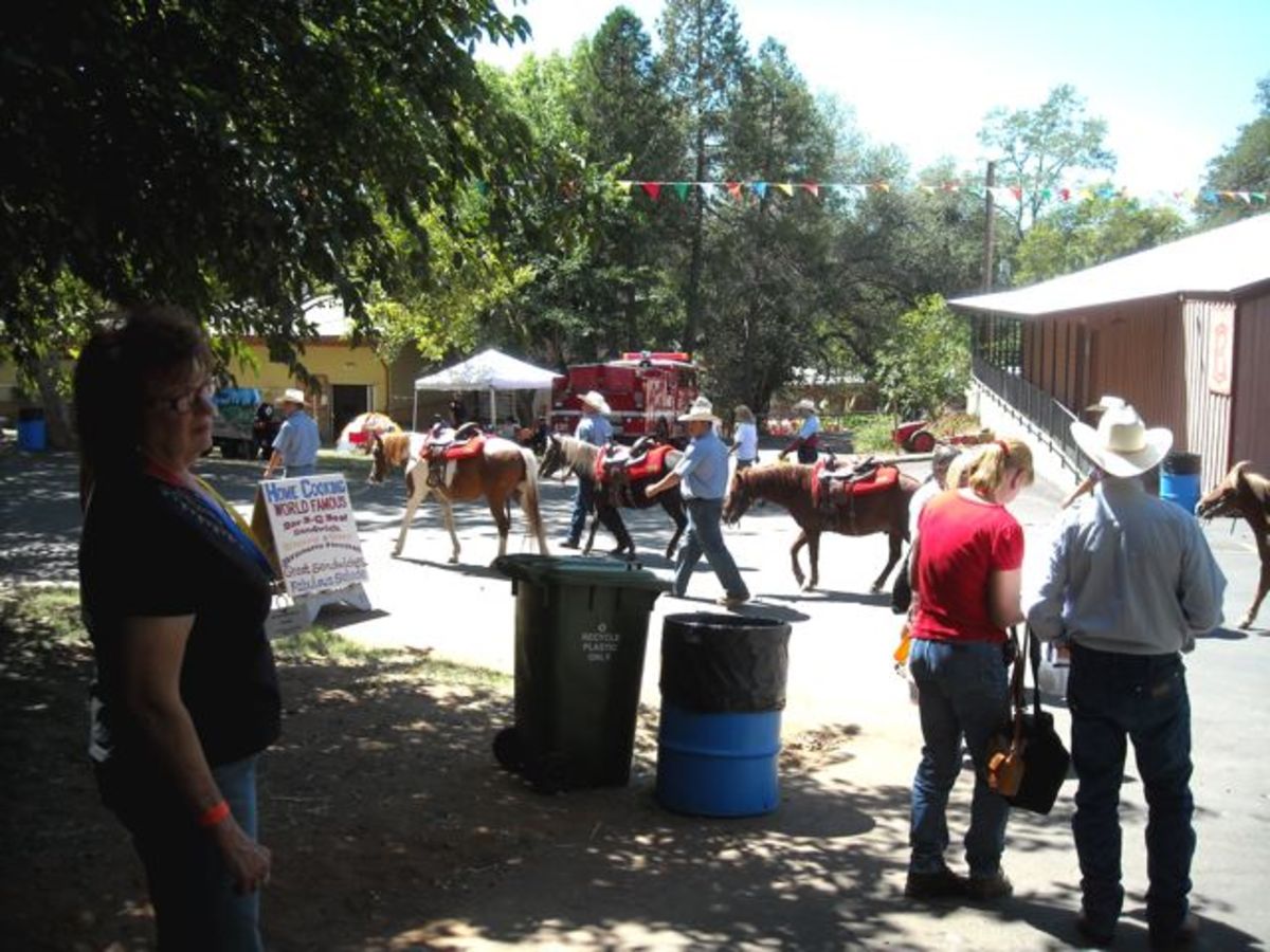 The American County Fair Tradition - HubPages