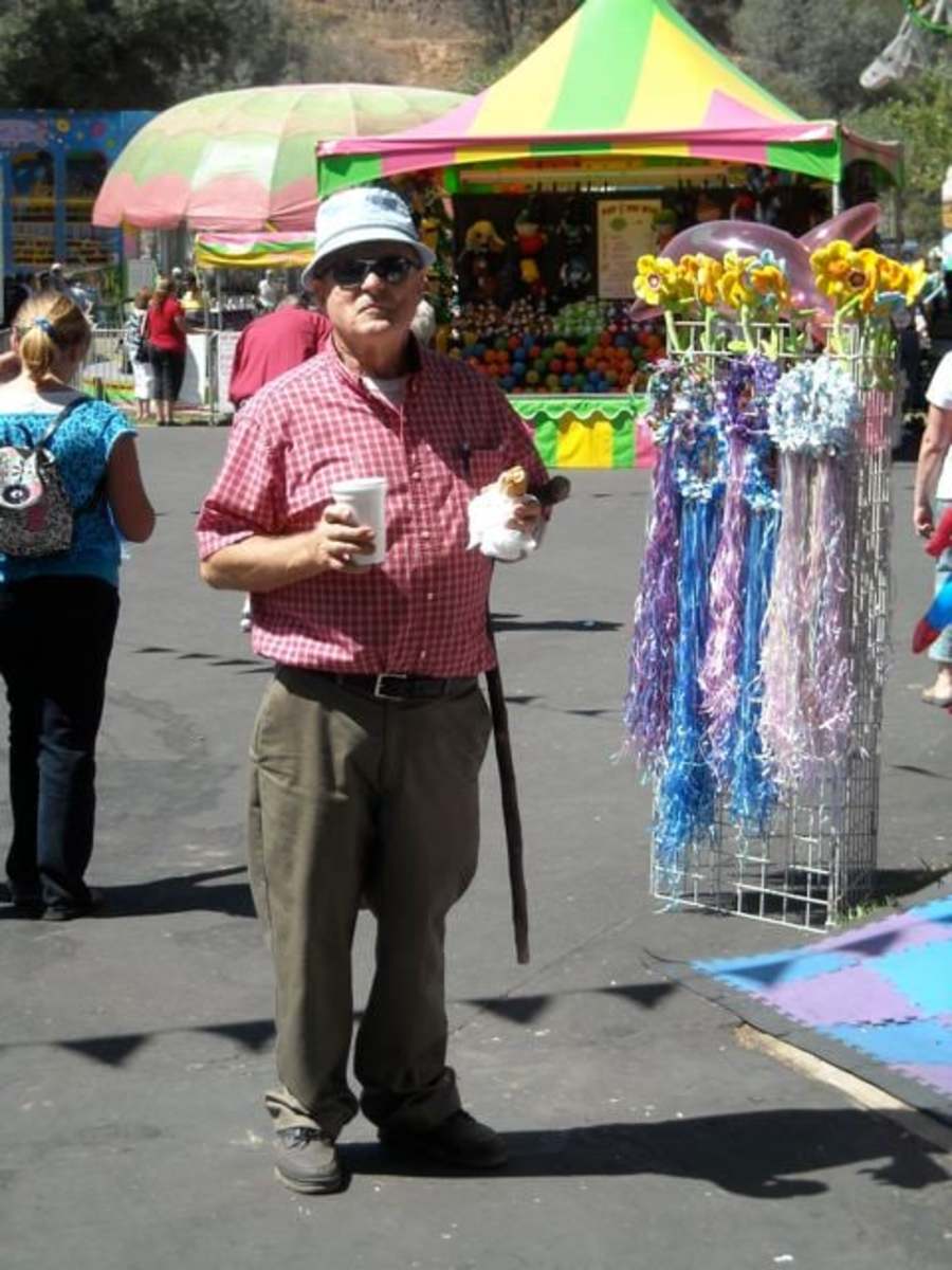 The American County Fair Tradition - HubPages