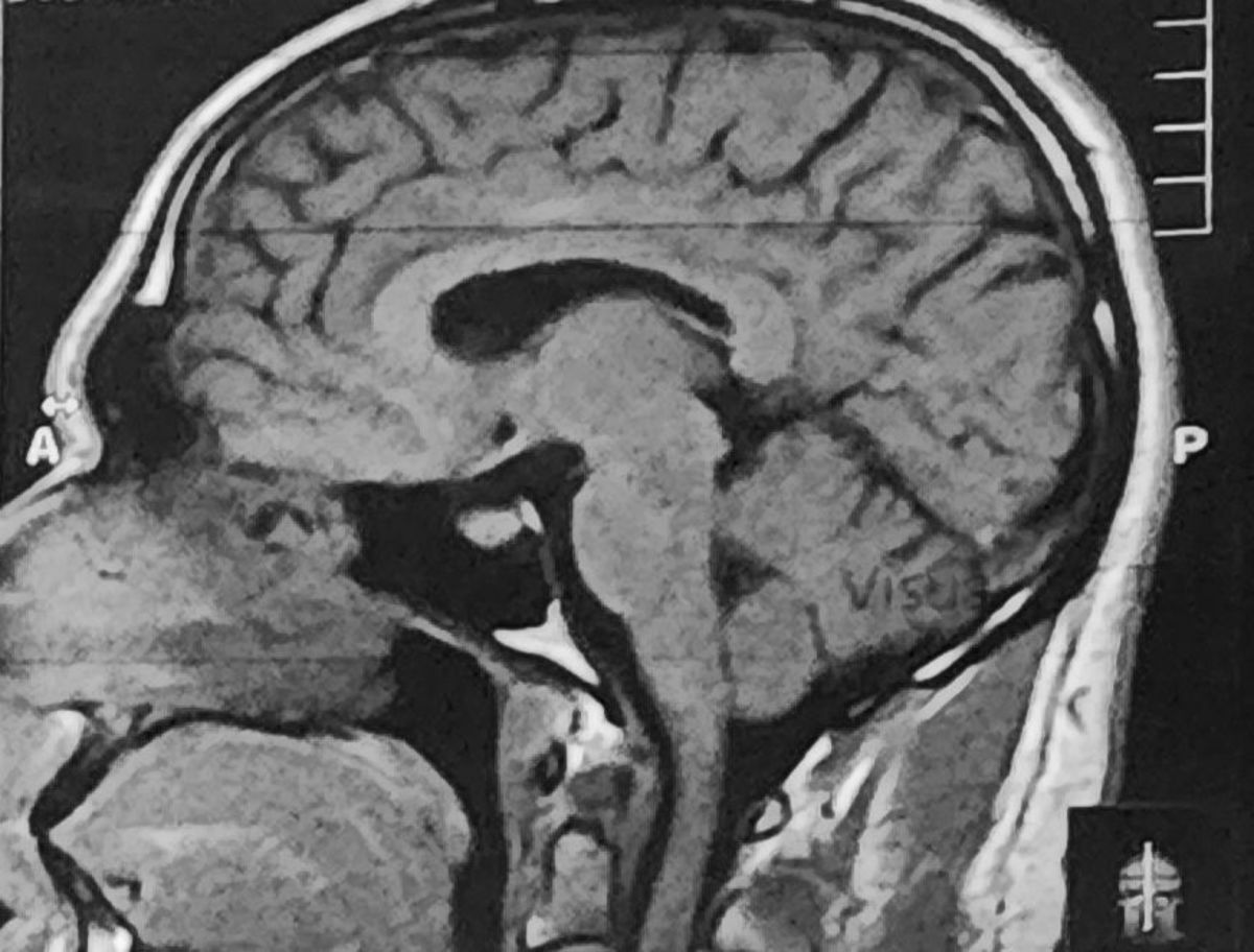 Human Language: a Bizarre and Unprecedented Phenomenon - HubPages