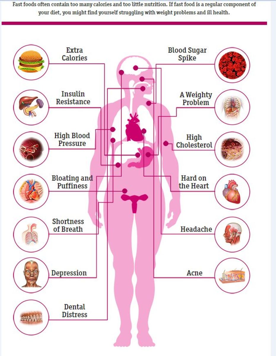 Why It’s Time to Hit the Brakes on That Fast Food Lifestyle - HubPages