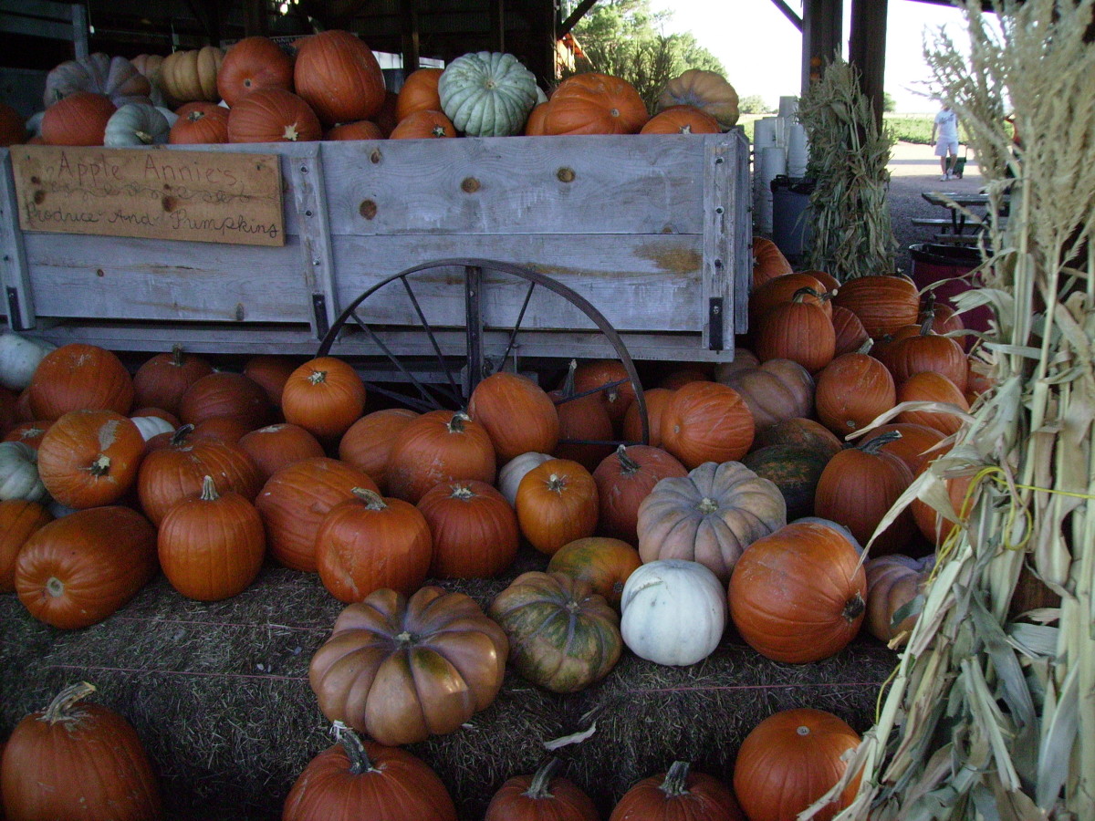 History of Halloween and Its Traditions - HubPages