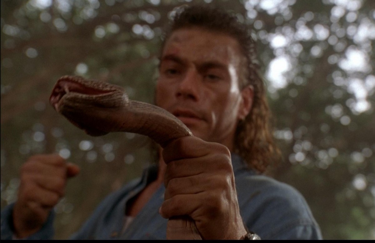 Why Hard Target Is No Easy Target - HubPages