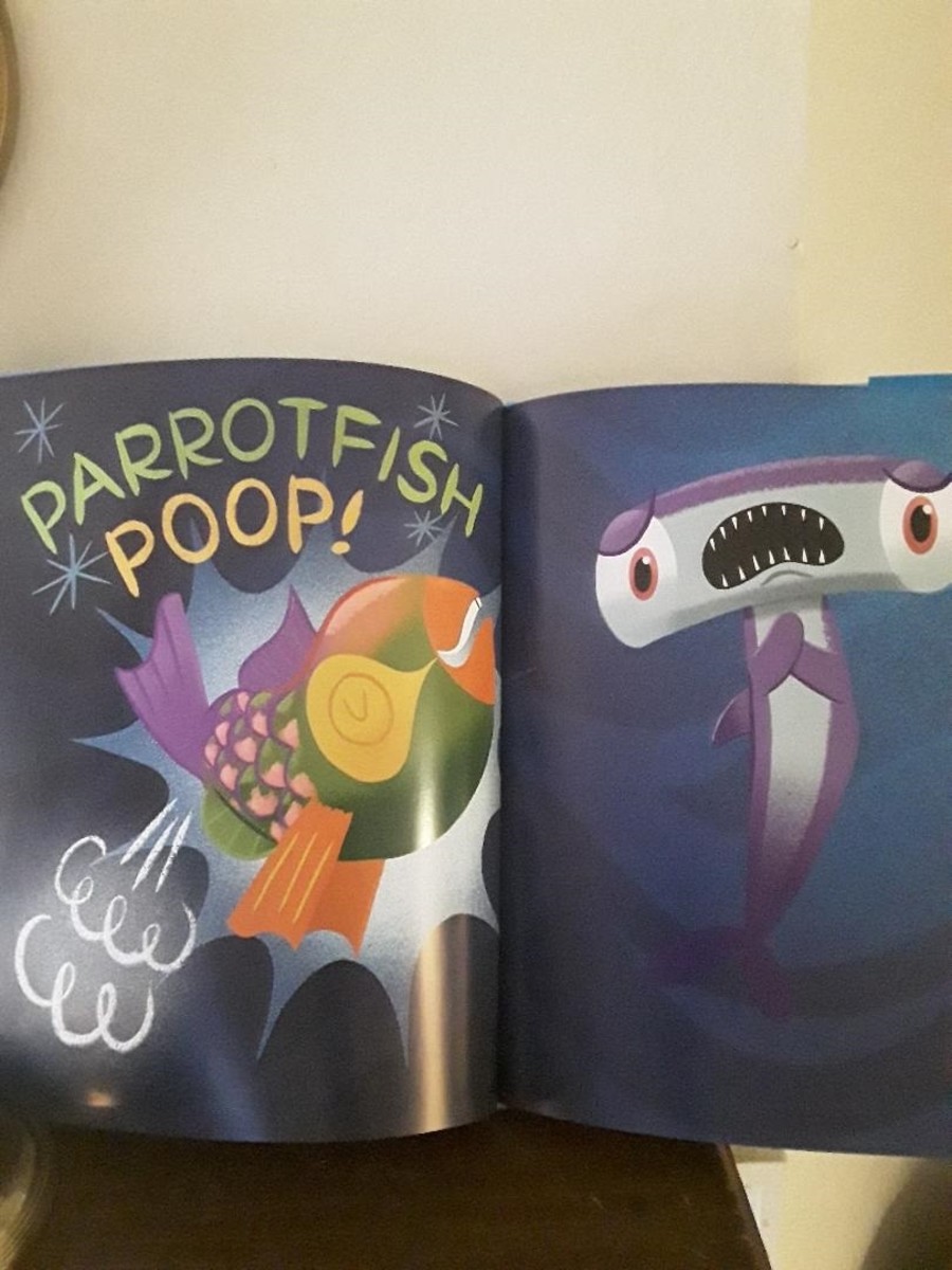 What is the Parrotfish's Superpower? in Colorful and Educational ...