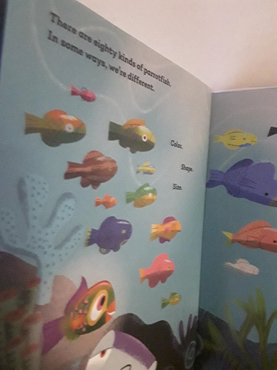 What is the Parrotfish's Superpower? in Colorful and Educational ...