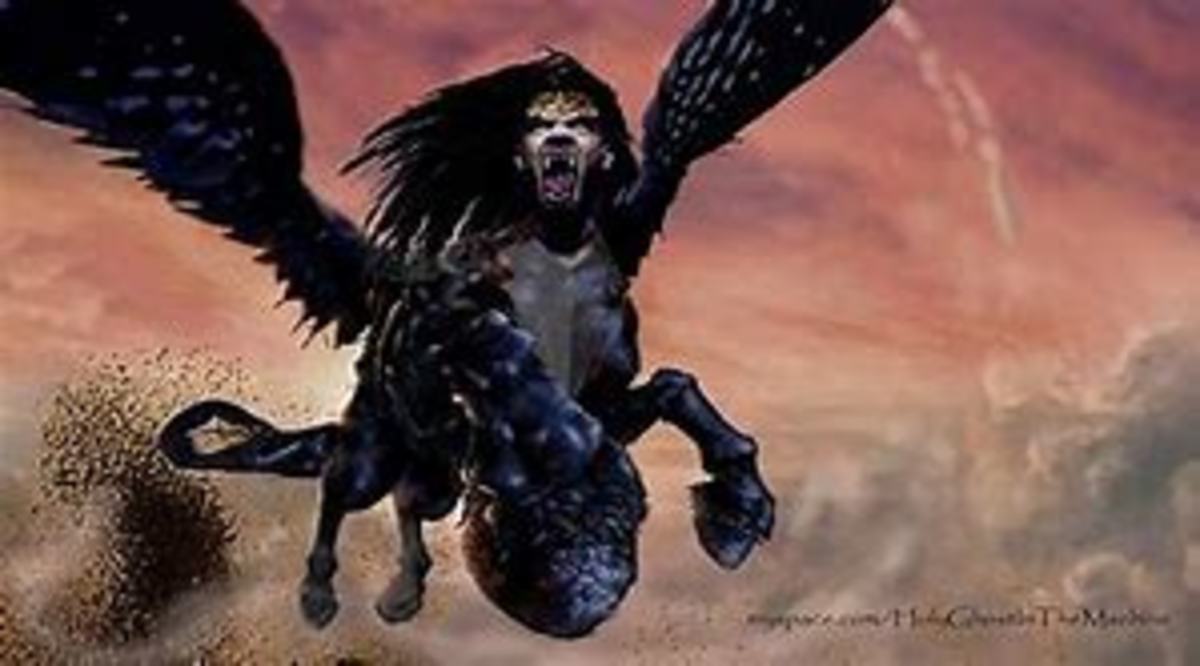 The Making of a Martyr - Part V -The Diary - No Where to Hide. - HubPages