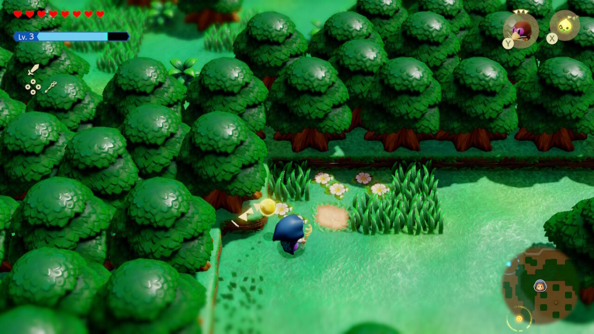 All Might Crystal Locations Map for “The Legend of Zelda: Echoes of ...