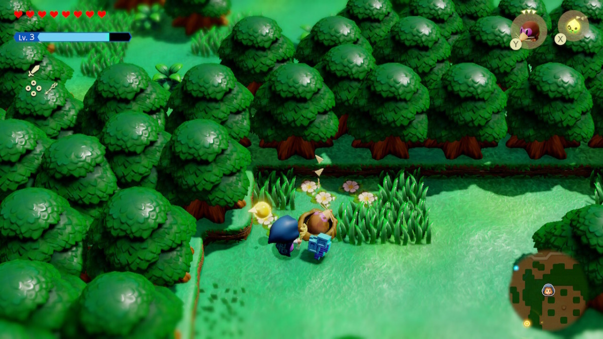 All Might Crystal Locations Map for “The Legend of Zelda: Echoes of ...