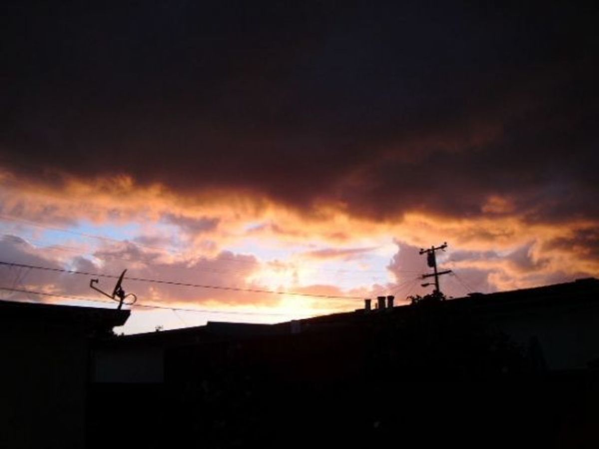 When You've Got the Blahs: Every Day Ideas for Getting Through a Bad ...