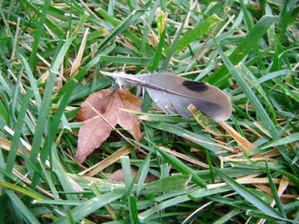 When You've Got the Blahs: Every Day Ideas for Getting Through a Bad ...