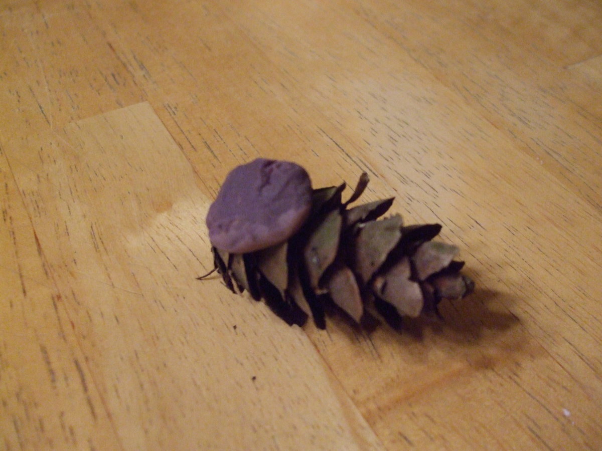 Kids' Easy How to Make Thanksgiving Pine Cone Turkey Place Cards - HubPages