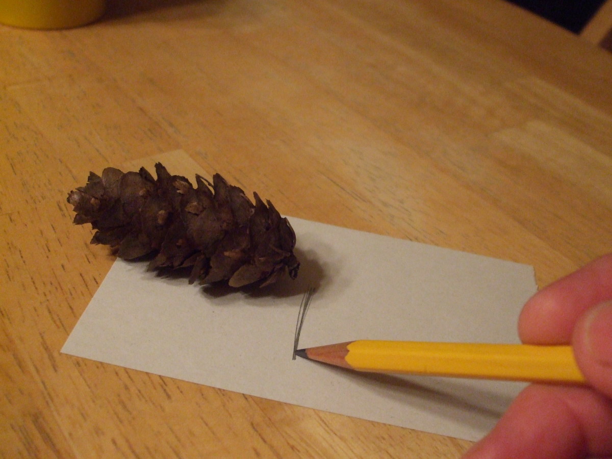 Kids' Easy How to Make Thanksgiving Pine Cone Turkey Place Cards - HubPages