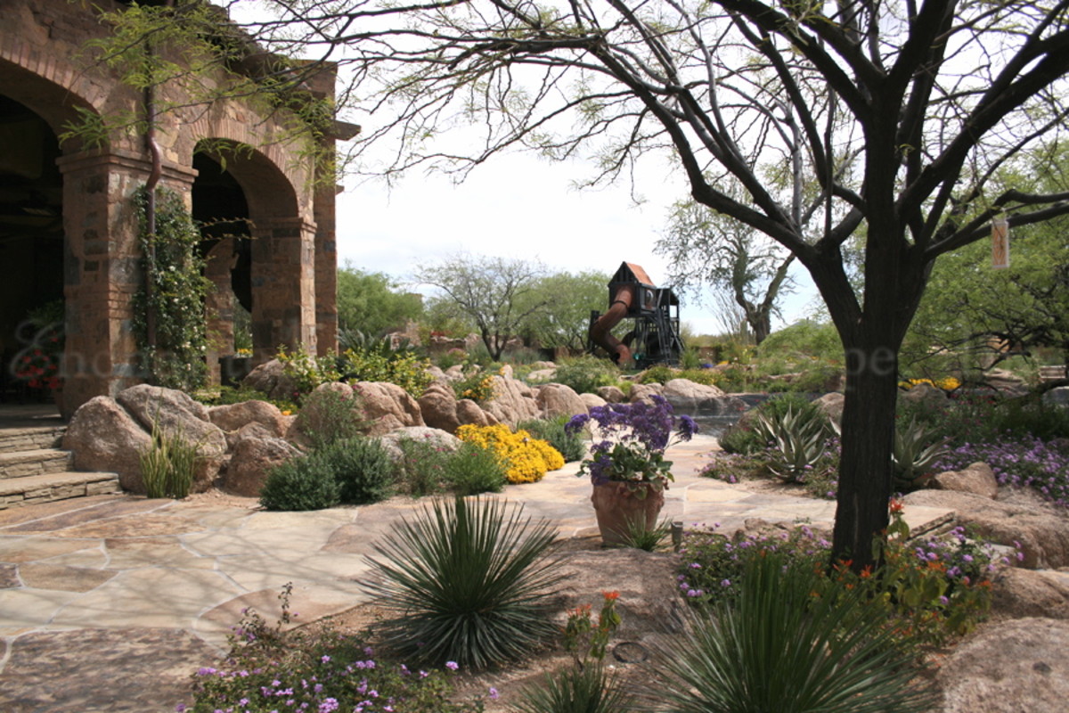 Low Impact Development (LID) in Landscape Design - HubPages