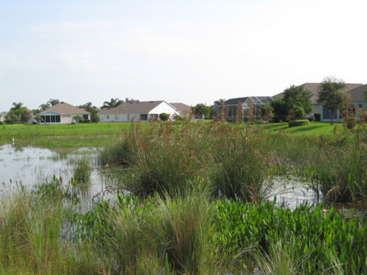 Low Impact Development (LID) in Landscape Design - HubPages