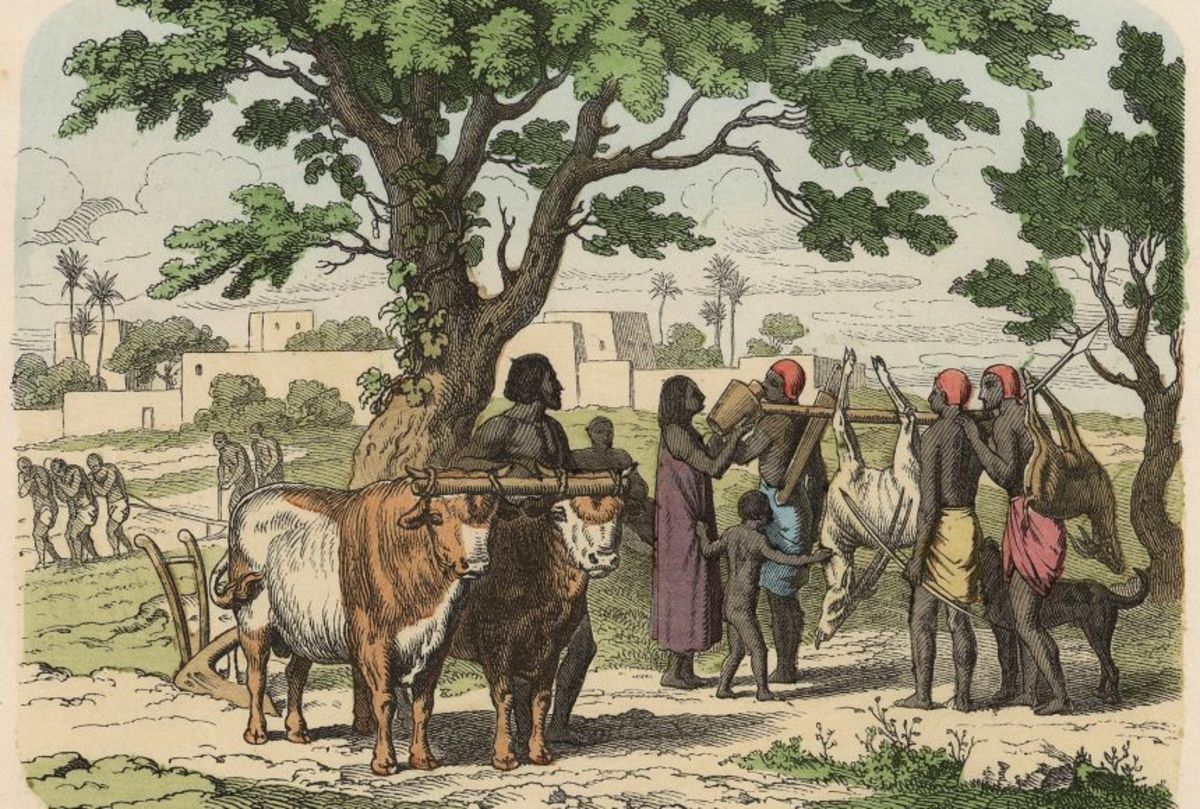 Mesopotamia: The Rise and Fall of the Sumerian Civilization - HubPages