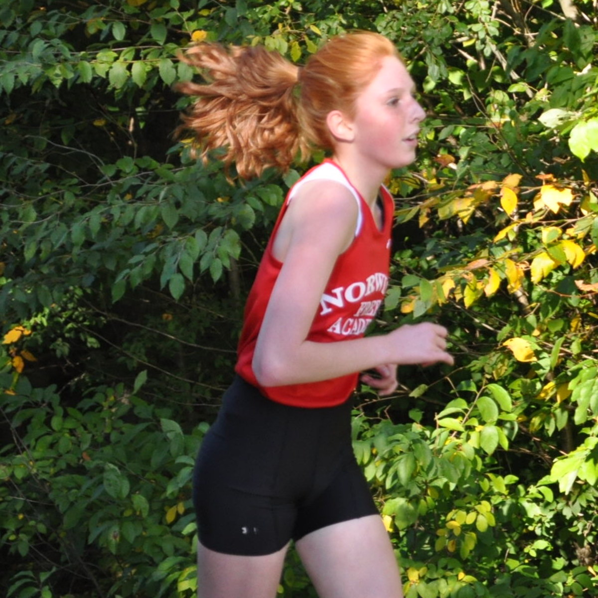 Need New Hub Ideas? Let Your Photos Lead the Way! - HubPages