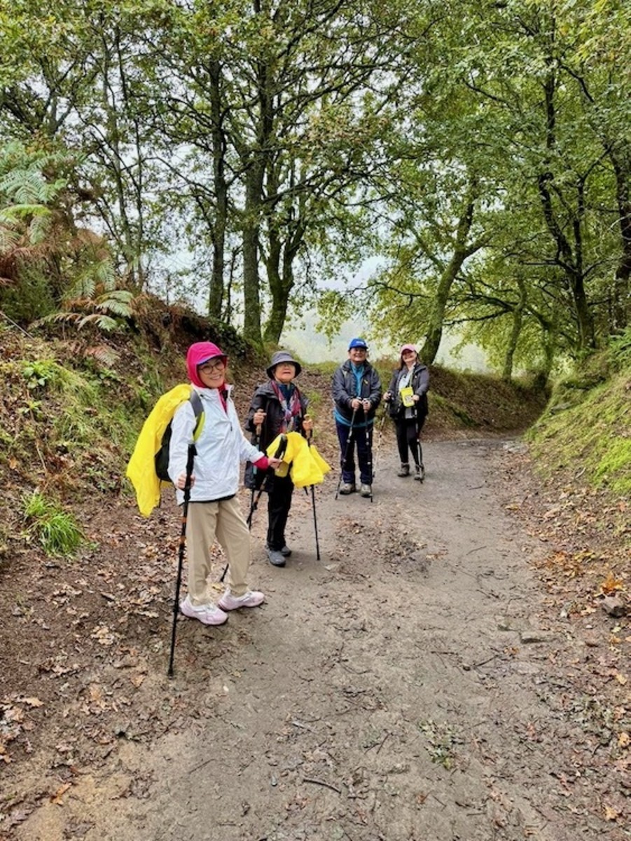 Walking in Grace: A Journey of Faith, Friendship, and Self-Discovery ...