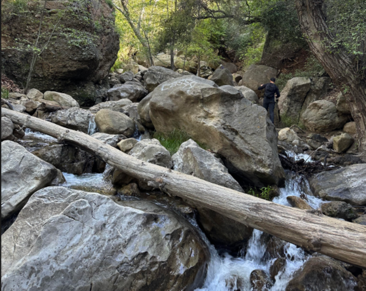 Hiking Black Star Falls: Stunning Views, Secret Tips, and What to Know ...
