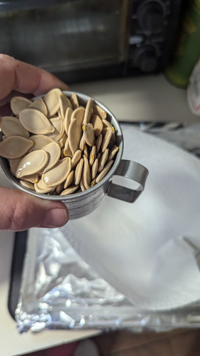 Pumpkin Seeds - Cleaning for Roasting - HubPages