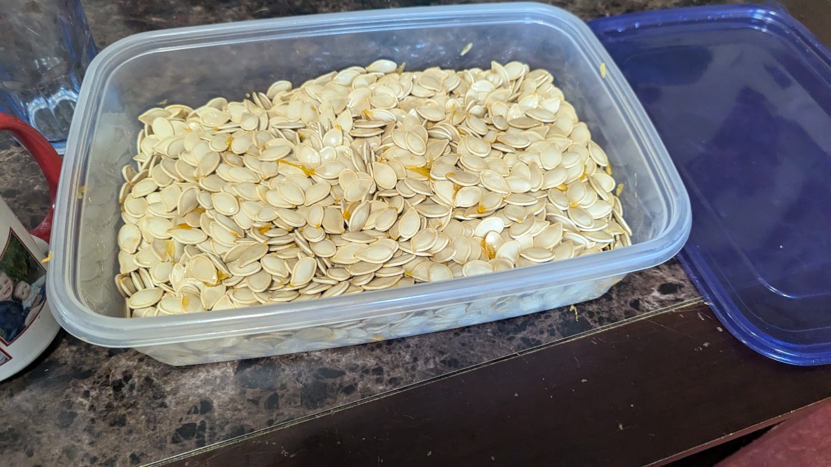 Pumpkin Seeds - Cleaning for Roasting - HubPages