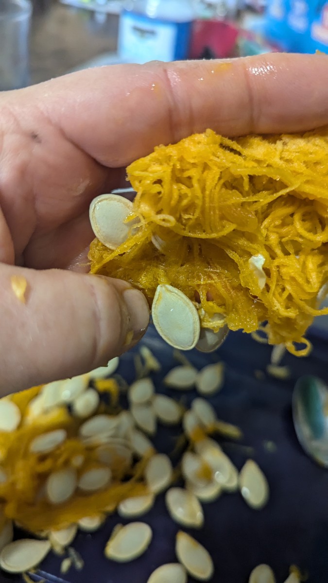 Pumpkin Seeds - Cleaning for Roasting - HubPages