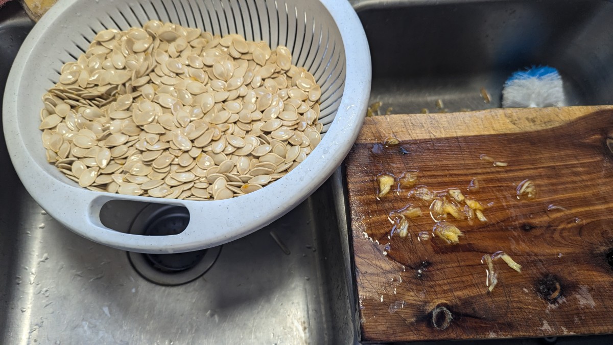 Pumpkin Seeds - Cleaning for Roasting - HubPages