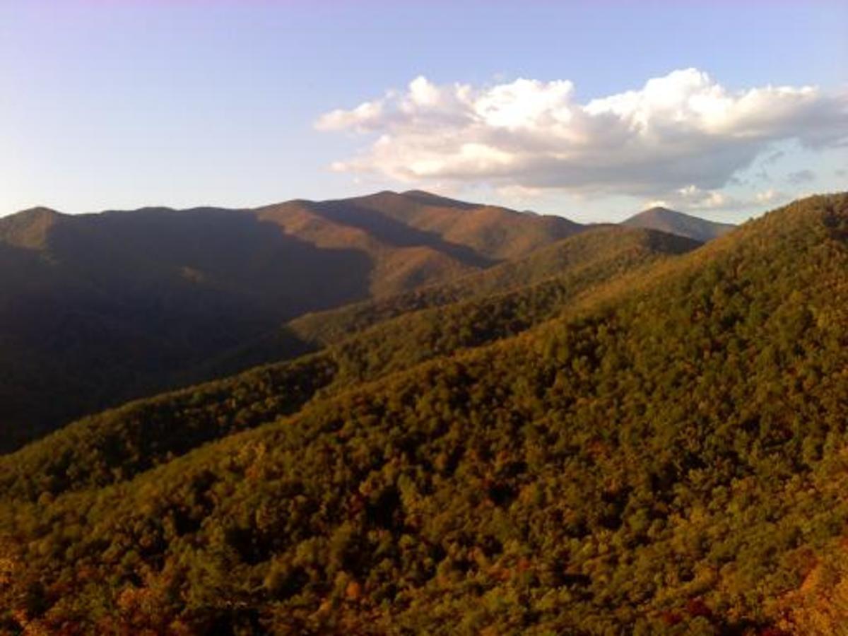 4 Great Places to See Leaves (Fall Foliage) in Western North Carolina ...
