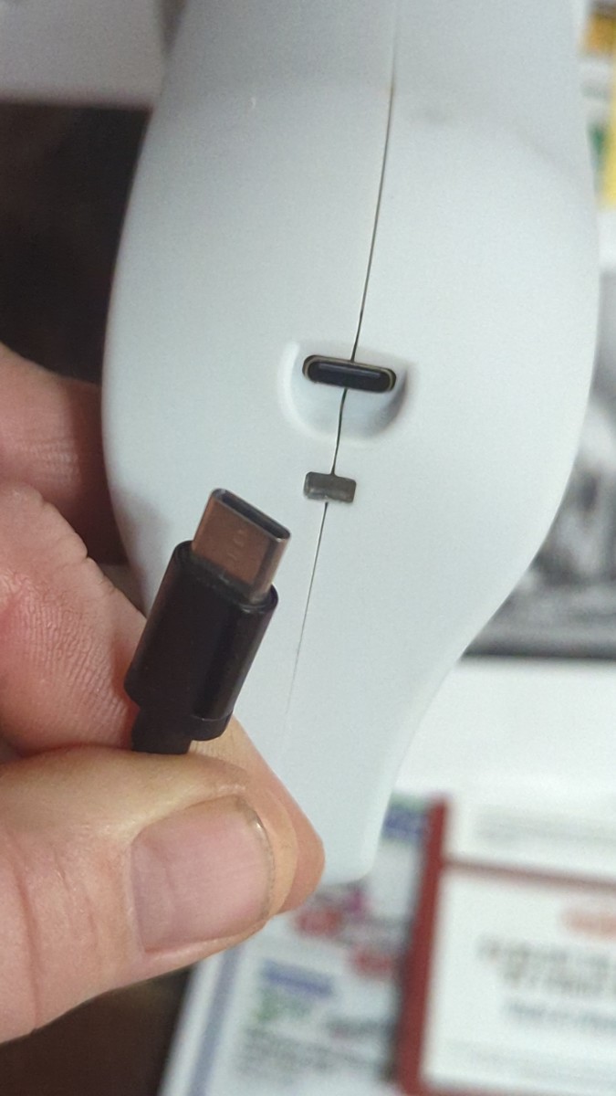 Horsepower Duck - to Nab Our Bug Infestation - HubPages