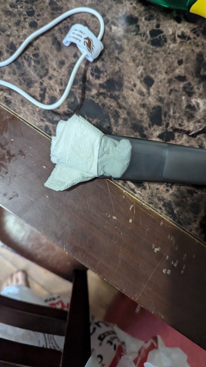 Horsepower Duck - to Nab Our Bug Infestation - HubPages