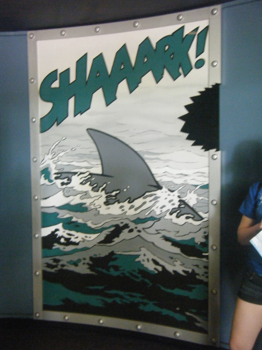 Sharks 101: An Introduction to Shark Biology - HubPages