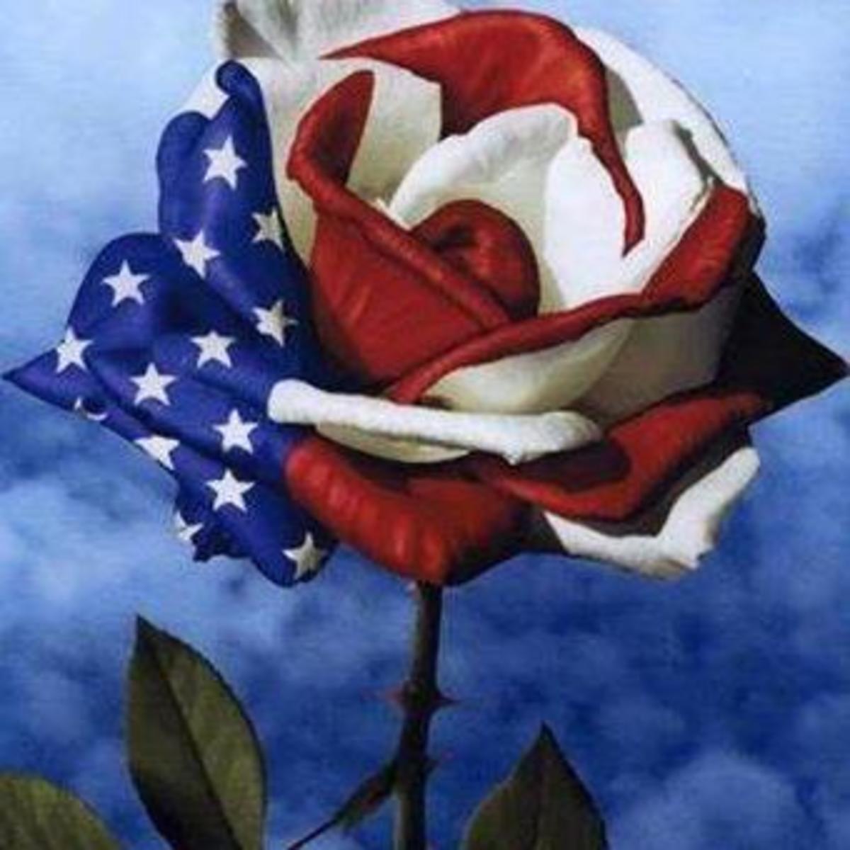 President Jimmy Carter & Women in Ministry - HubPages