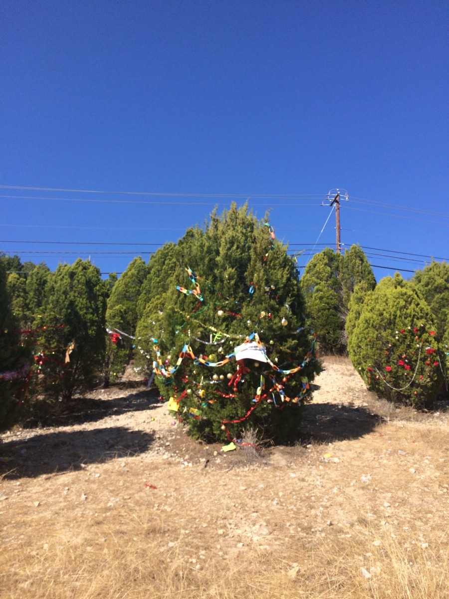 Christmas Tree Decorating in Austin, Texas - HubPages