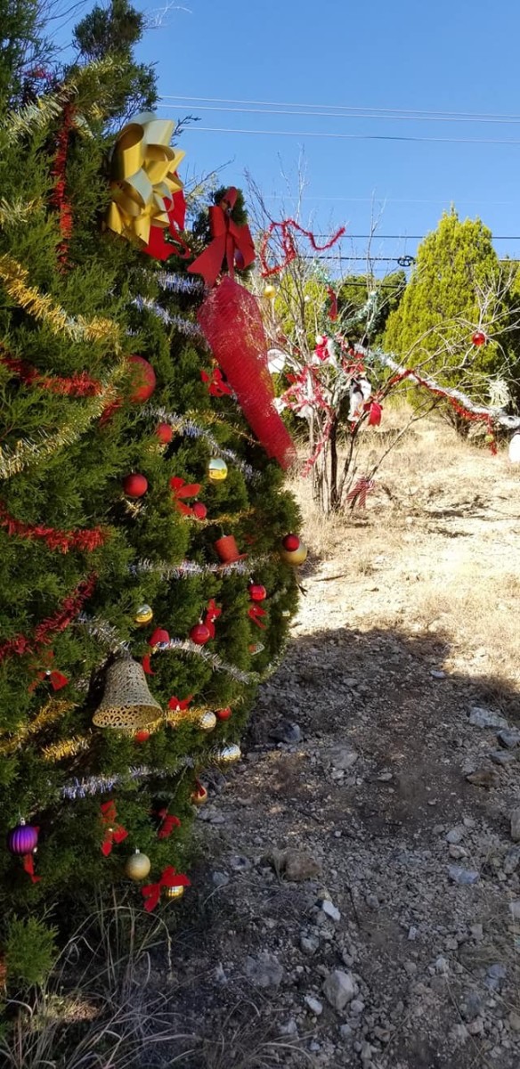 Christmas Tree Decorating in Austin, Texas - HubPages
