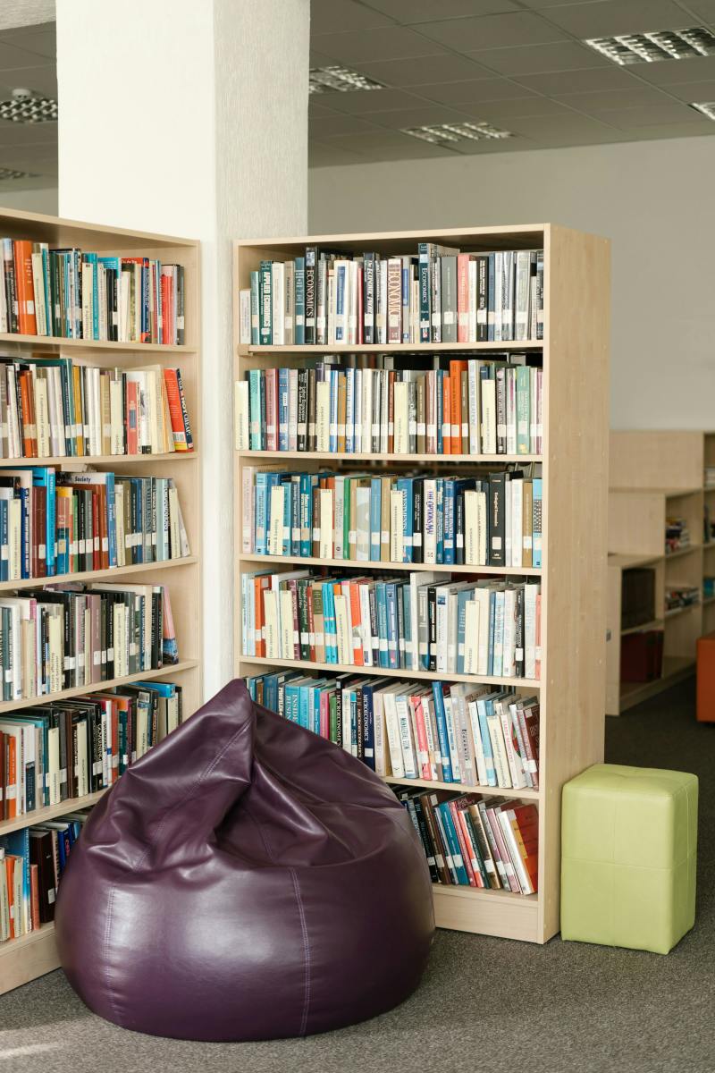 Planning Your Classroom Library: A Space for Students - HubPages