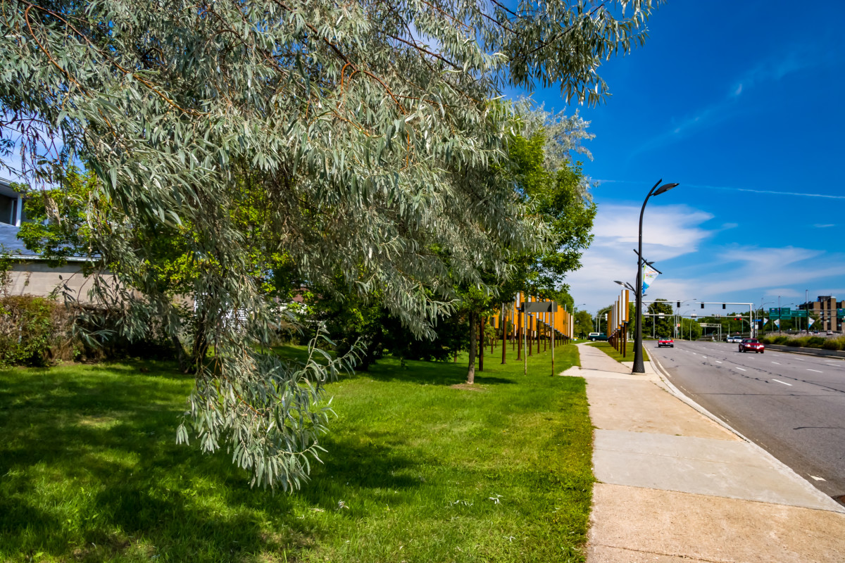 Visiting Boulevard Maisonneuve, Gatineau, Quebec: Planning a Wide ...