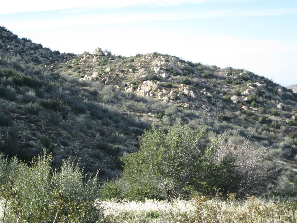 Hiking In The San Bernardino Mountains During The Month of February ...